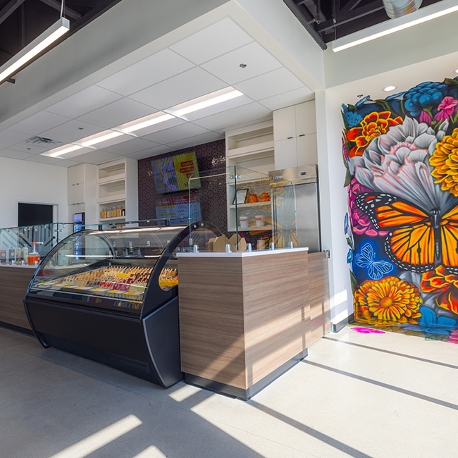 Monarca Paletas - Downing | Studio